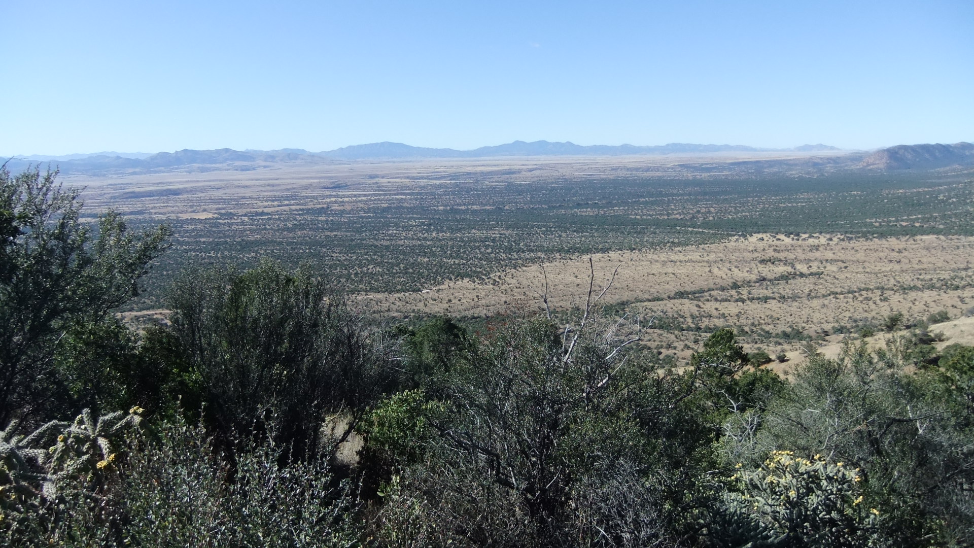 Pictures for the Coronado National Memorial Hikes